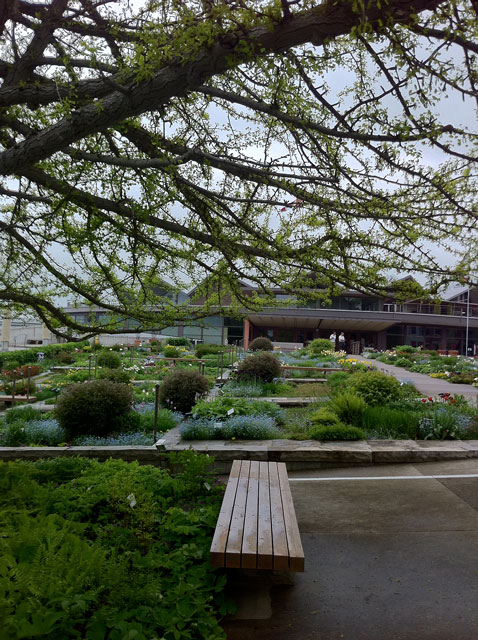 Institutional Gardens